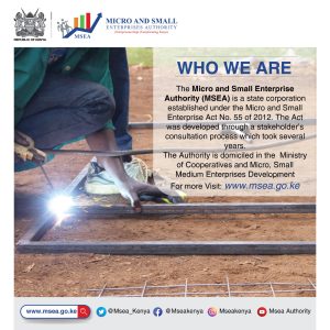 OUR ORGANIZATION - MSEA